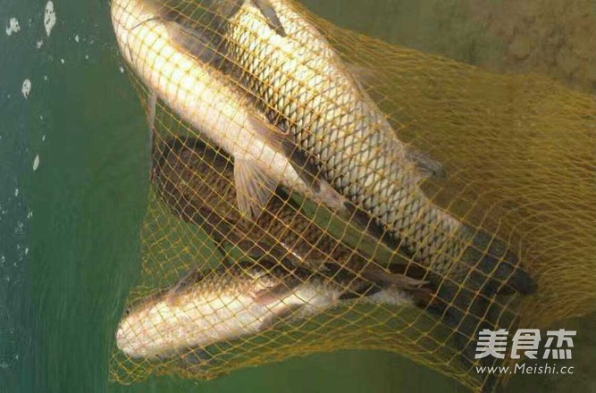 Peacock Recipe - Simple Chinese Food