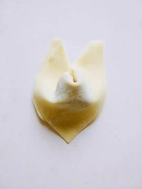 Wonton Packaging Method Recipe - Simple Chinese Food