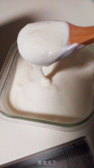 Super Soft-yogurt and Yogurt Snack Pack Recipe - Simple Chinese Food