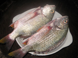 Steamed Yellow Fin Snapper (lazy Version) Recipe - Simple Chinese Food