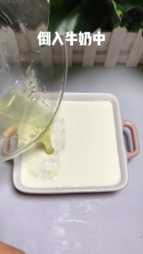 Double Skin Milk Recipe - Simple Chinese Food